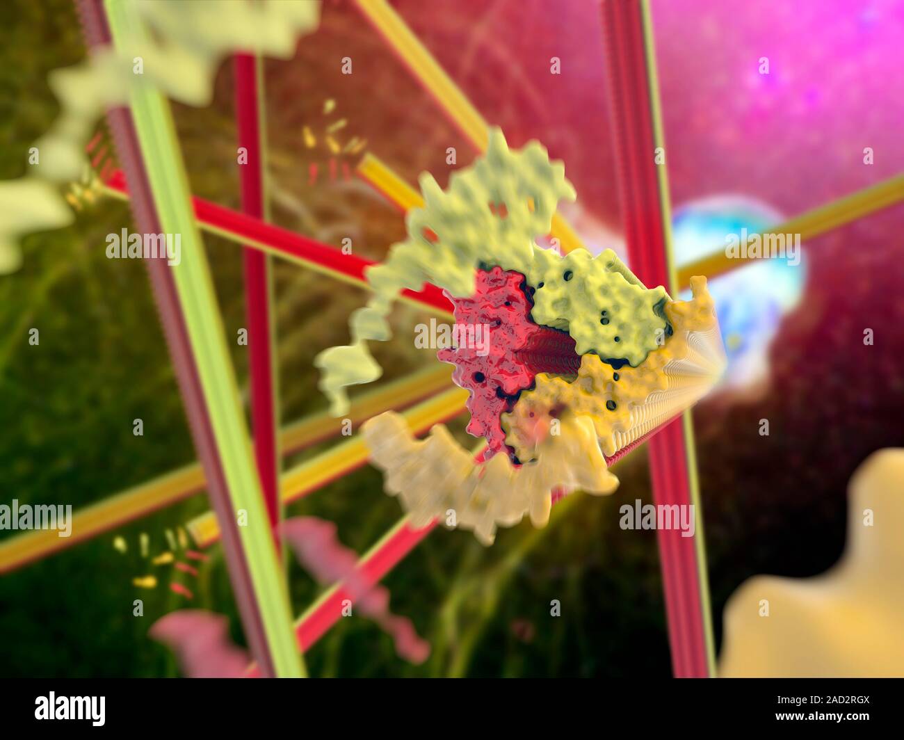 Illustration of human brain-derived beta-amyloid fibrils. The fibrils ...