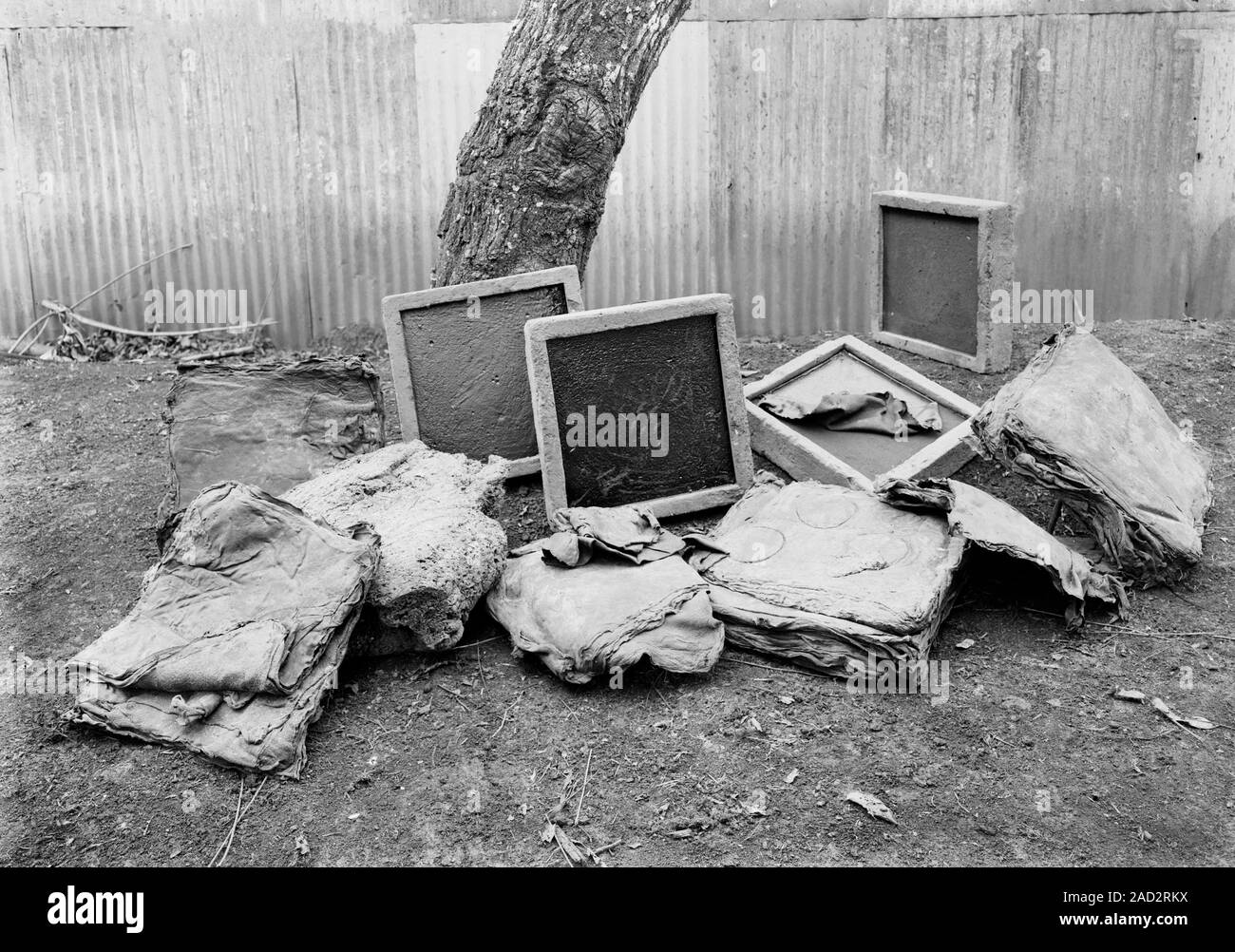 Coagulated rubber, early 20th century. Pieces of coagulated rubber ...