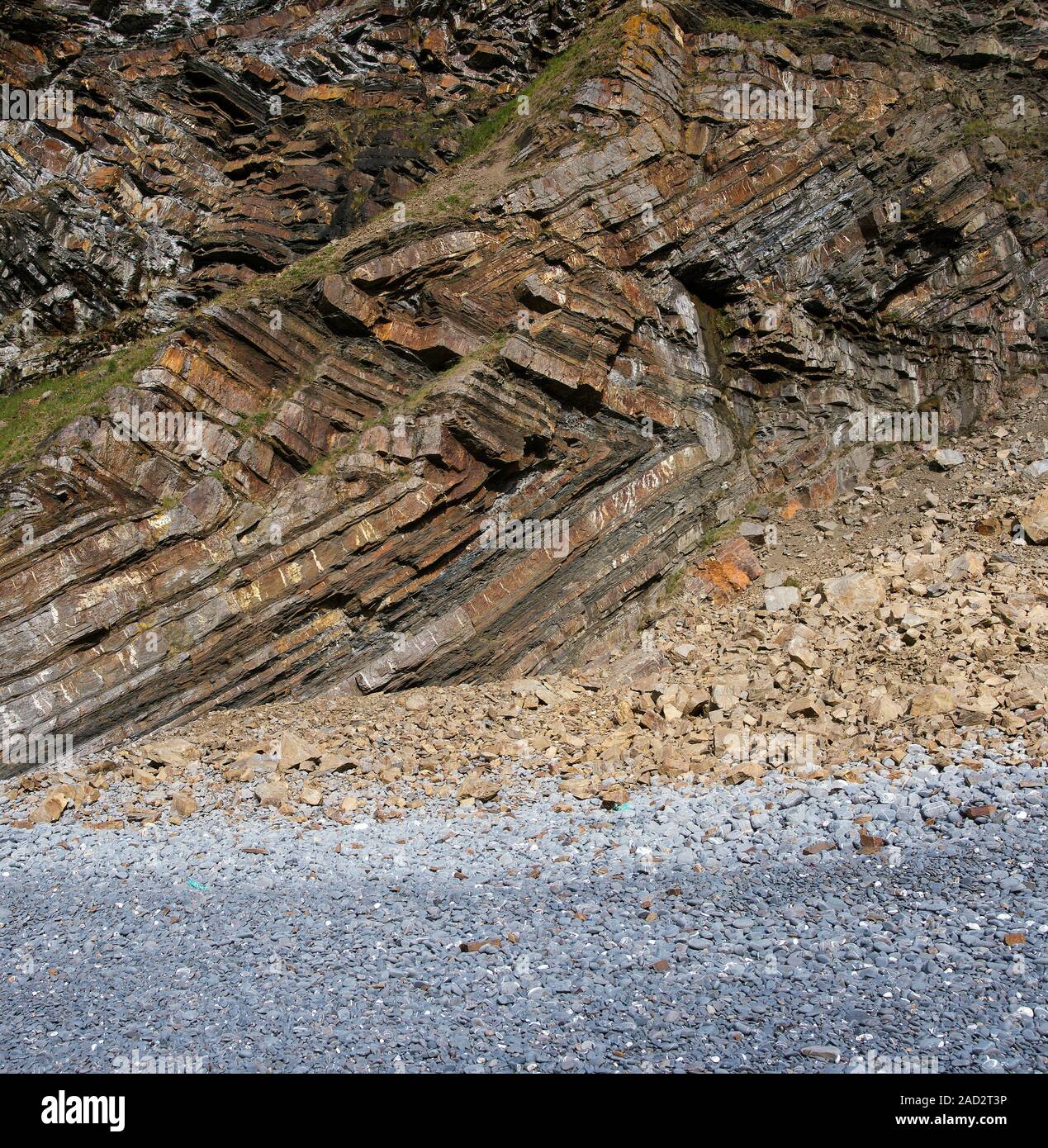 Recumbent folds at Millook Haven.Millook Haven on the north Cornish ...