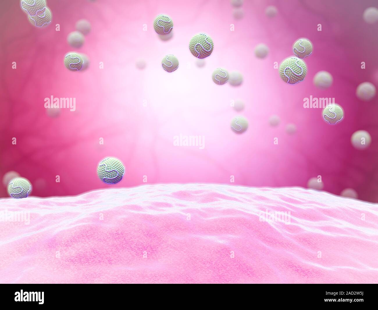 Low-density lipoproteins. Computer illustration of low-density ...