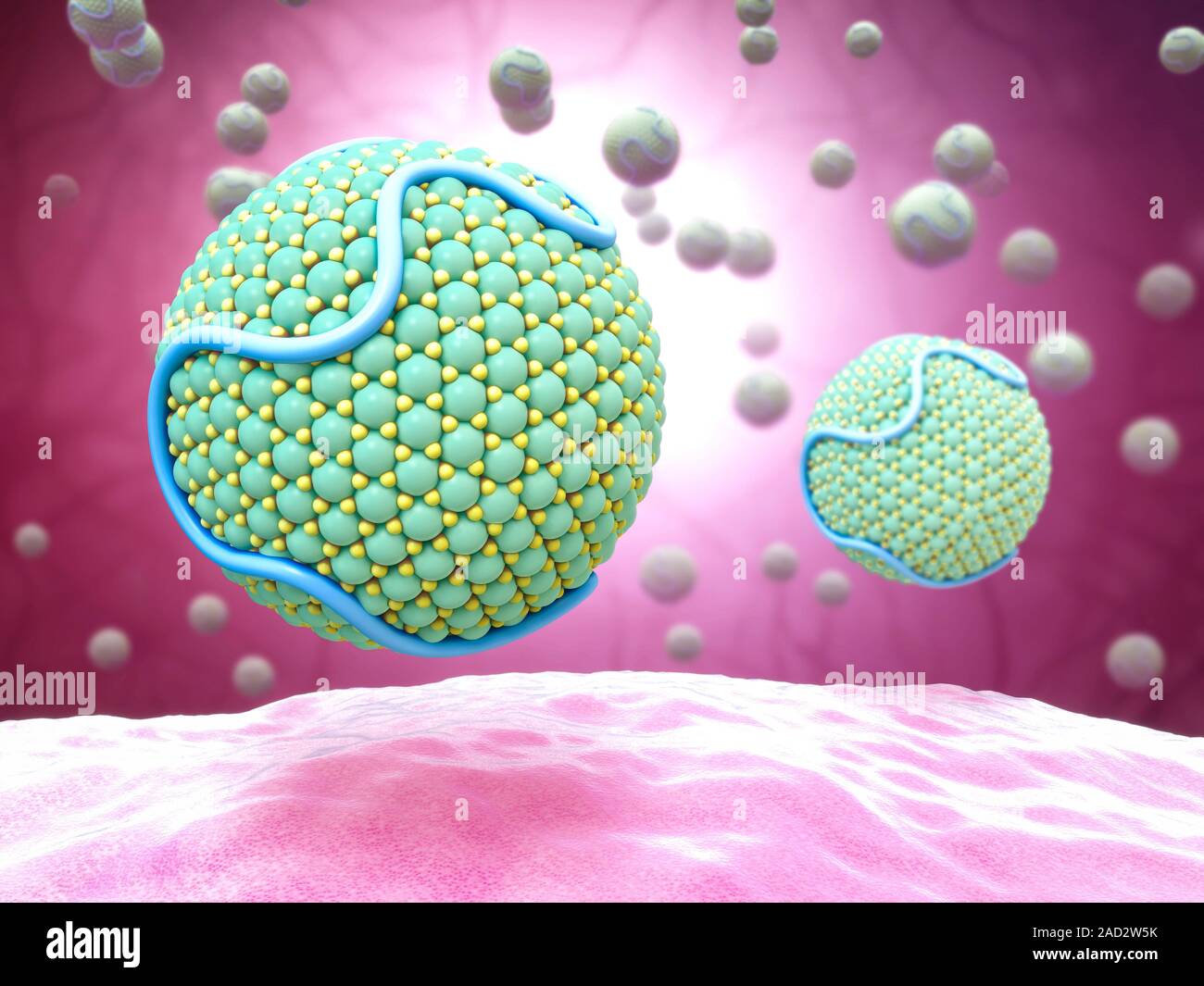 Low-density lipoproteins. Computer illustration of low-density ...