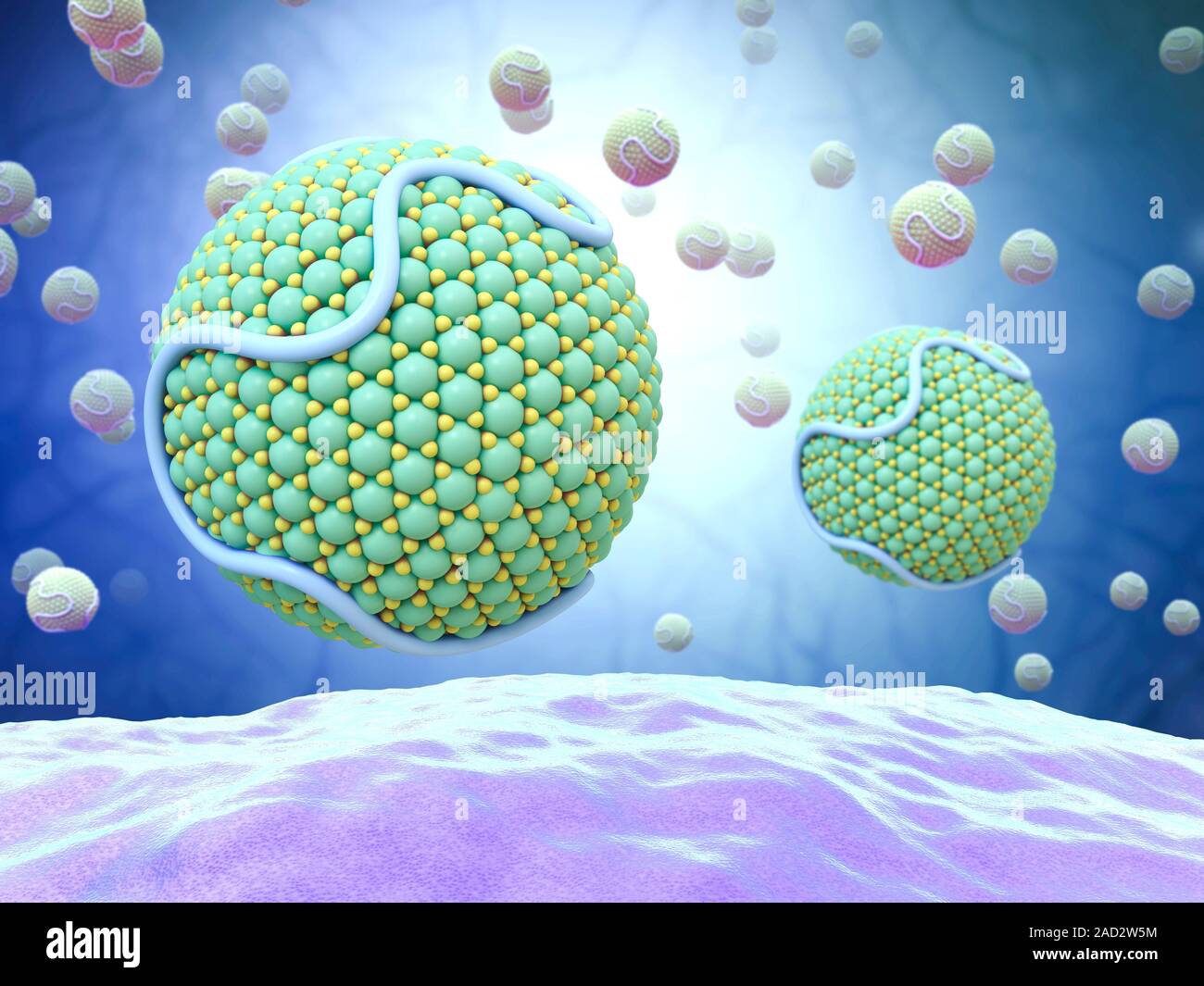 Low-density lipoproteins. Computer illustration of low-density ...