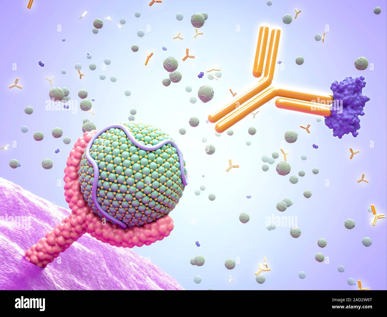 Computer illustration of a low-density lipoprotein (LDL, 'bad ...
