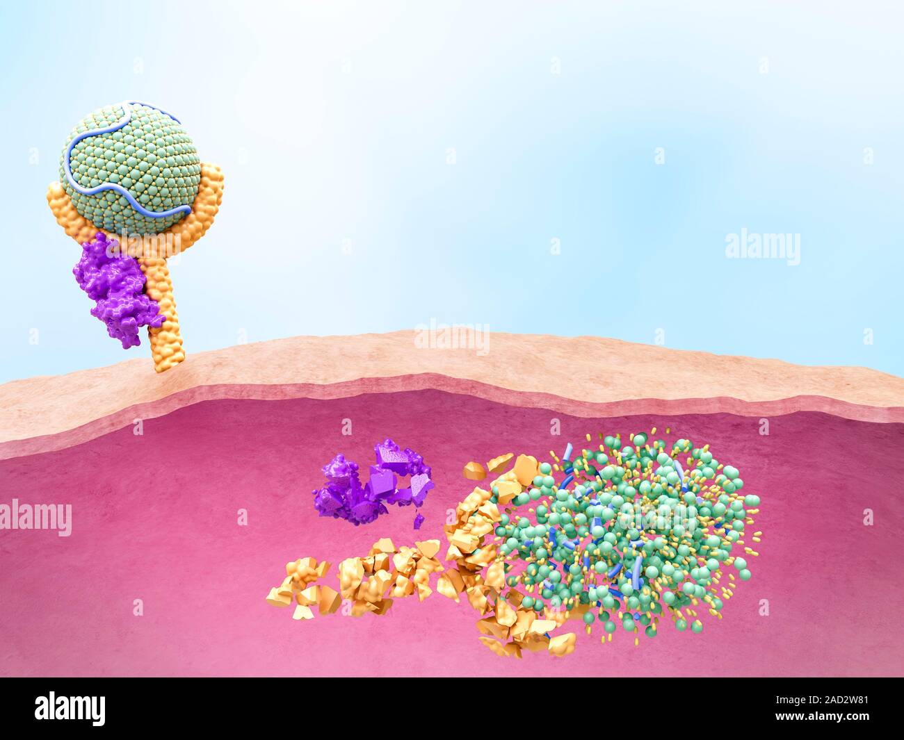 Computer illustration showing the degradation of a low-density ...