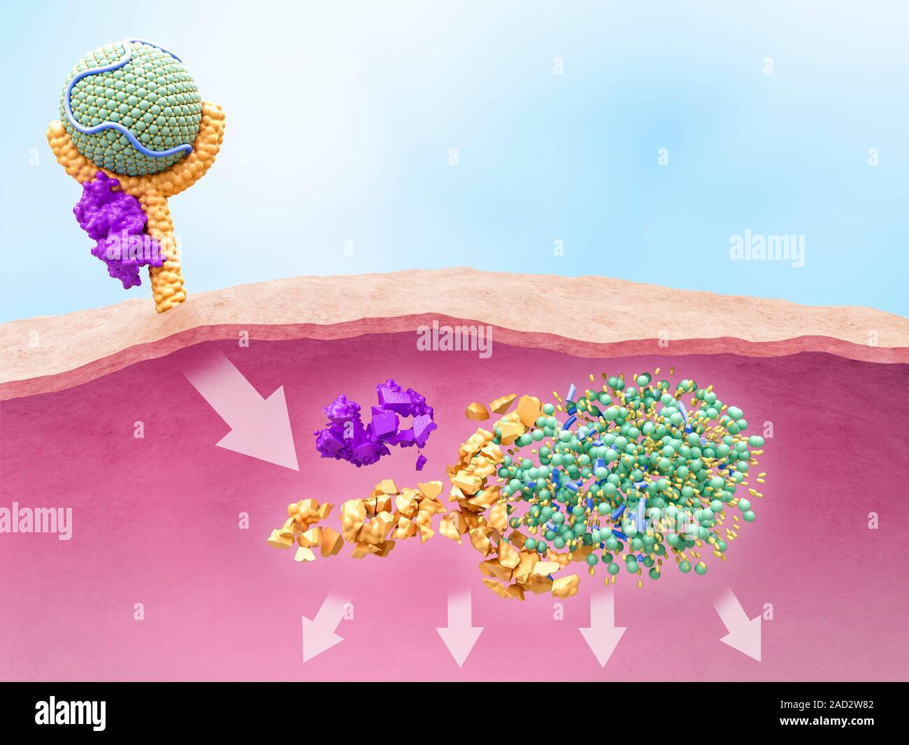 Computer illustration showing the degradation of a low-density ...