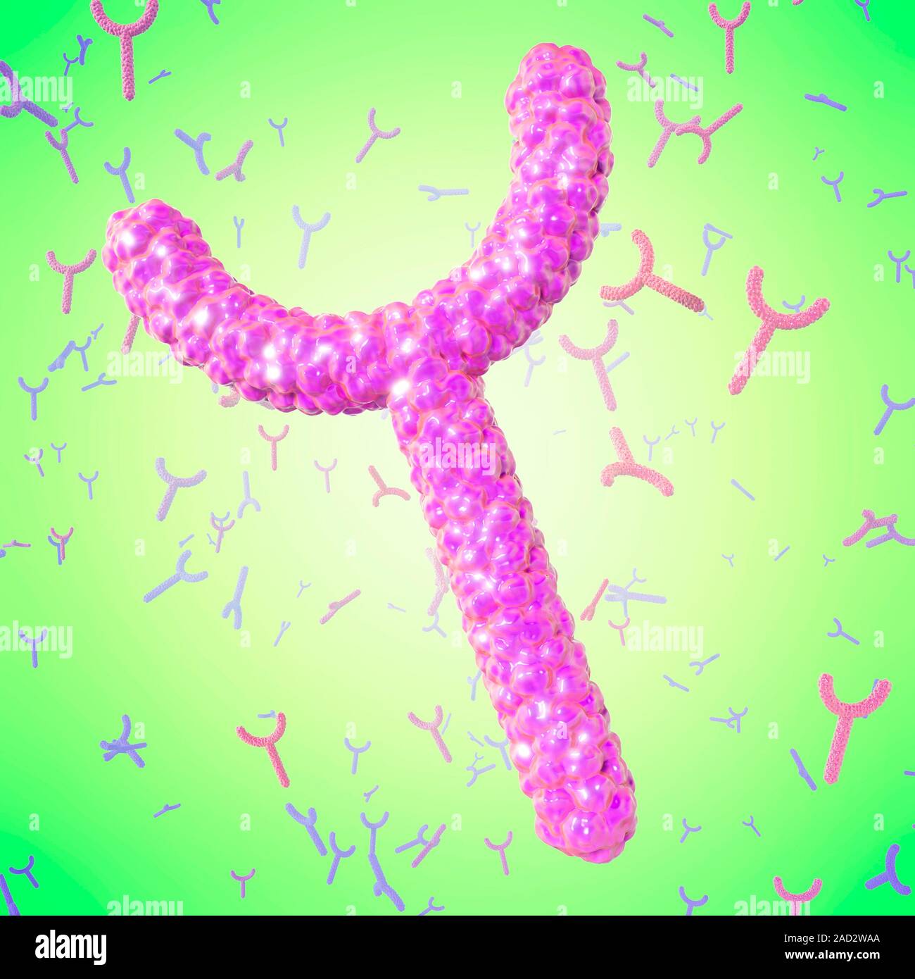 LDL receptor. Computer illustration of a low-density lipoprotein (LDL ...