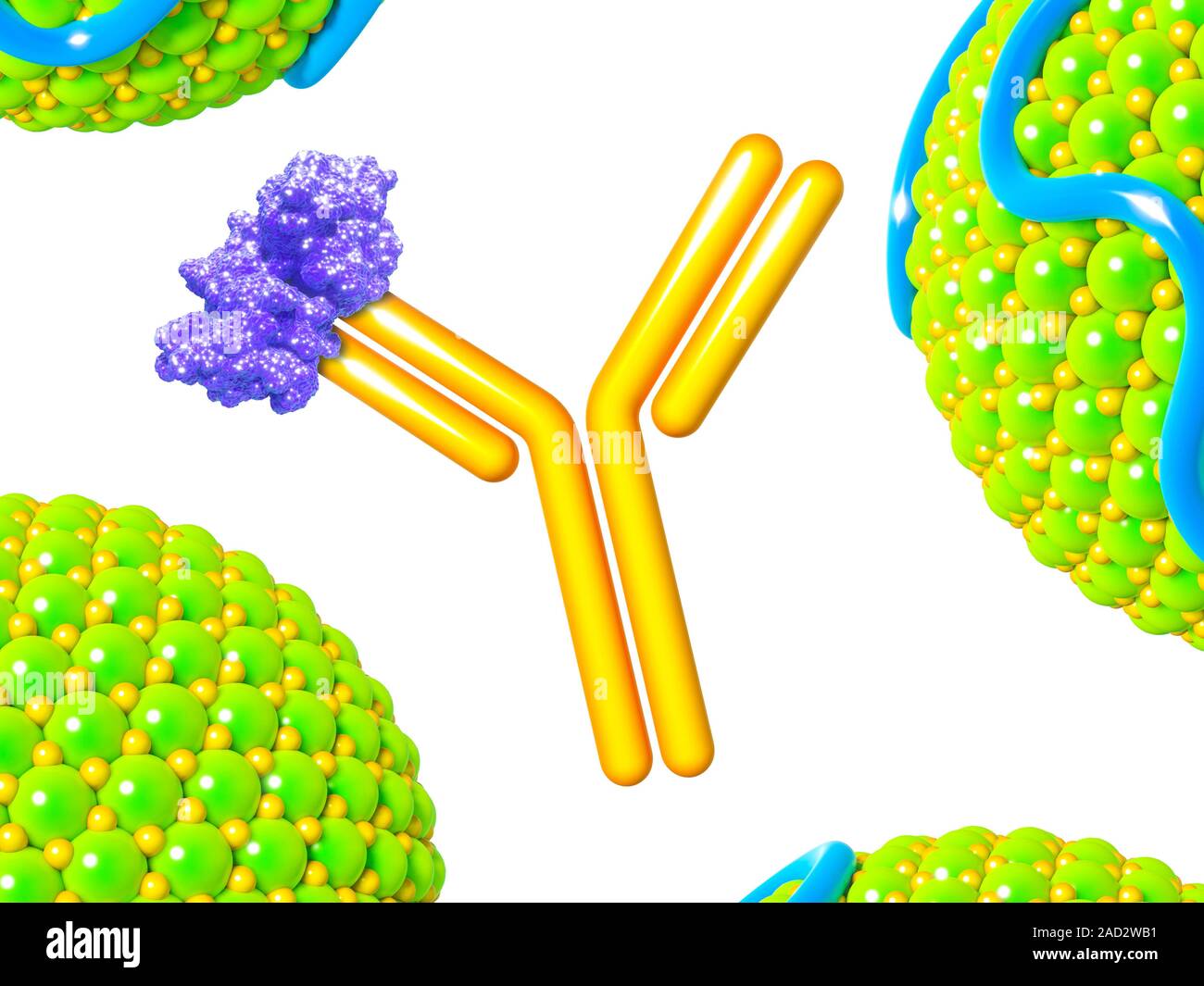 PCSK9 and inhibitor. Computer illustration of a molecule of the enzyme ...