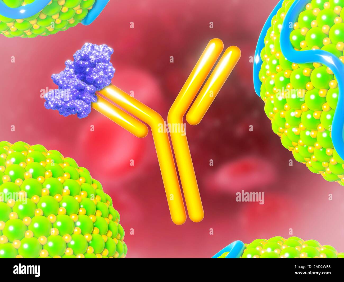 PCSK9 and inhibitor. Computer illustration of a molecule of the enzyme ...