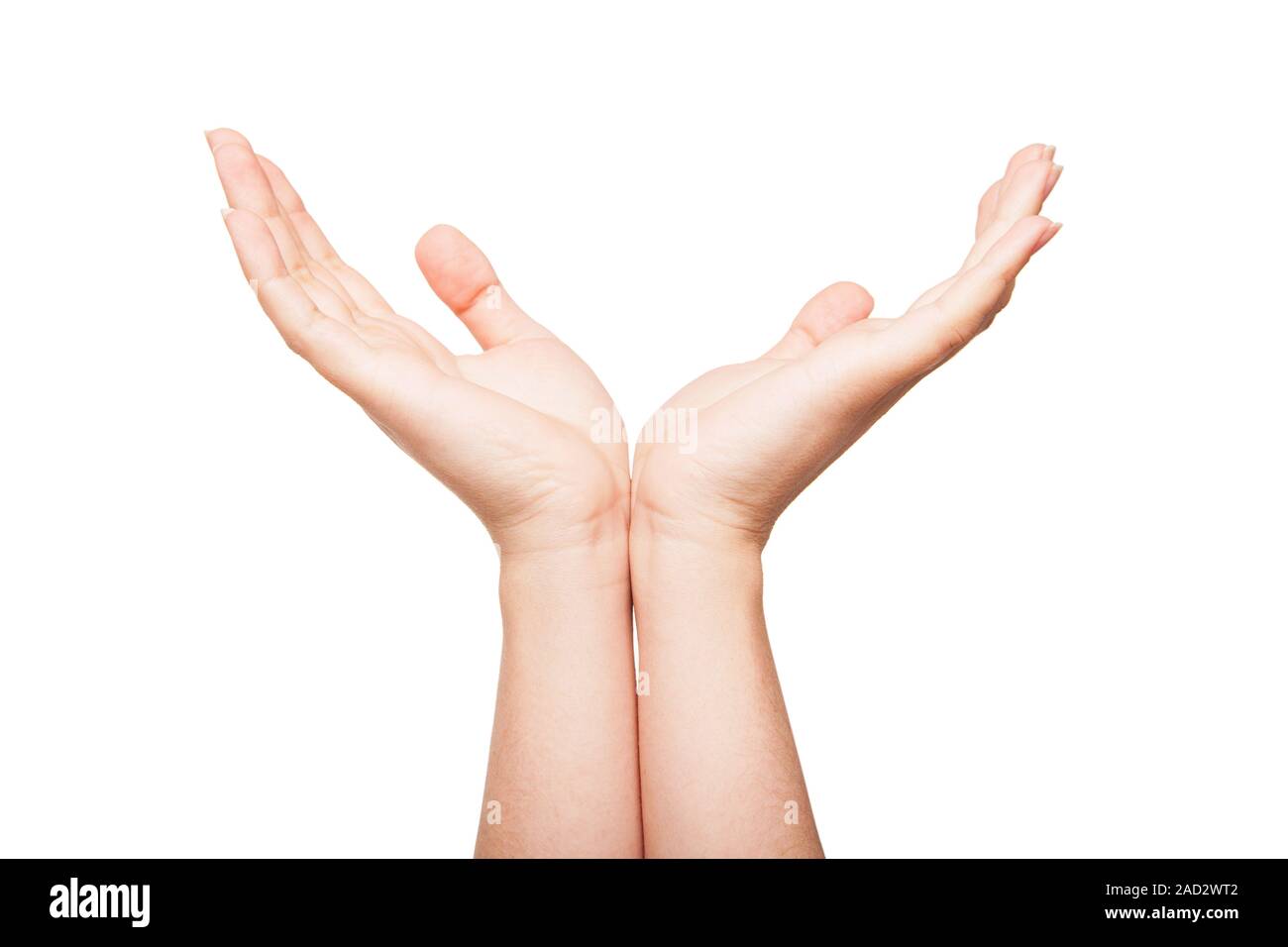 Two hands protecting something Stock Photo - Alamy