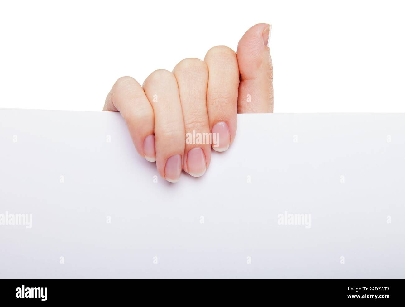 Hand holding white empty paper Stock Photo - Alamy