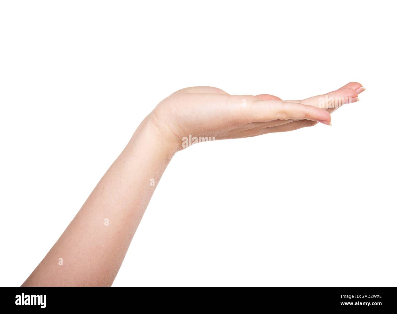 Women hand palm up Cut Out Stock Images & Pictures - Alamy