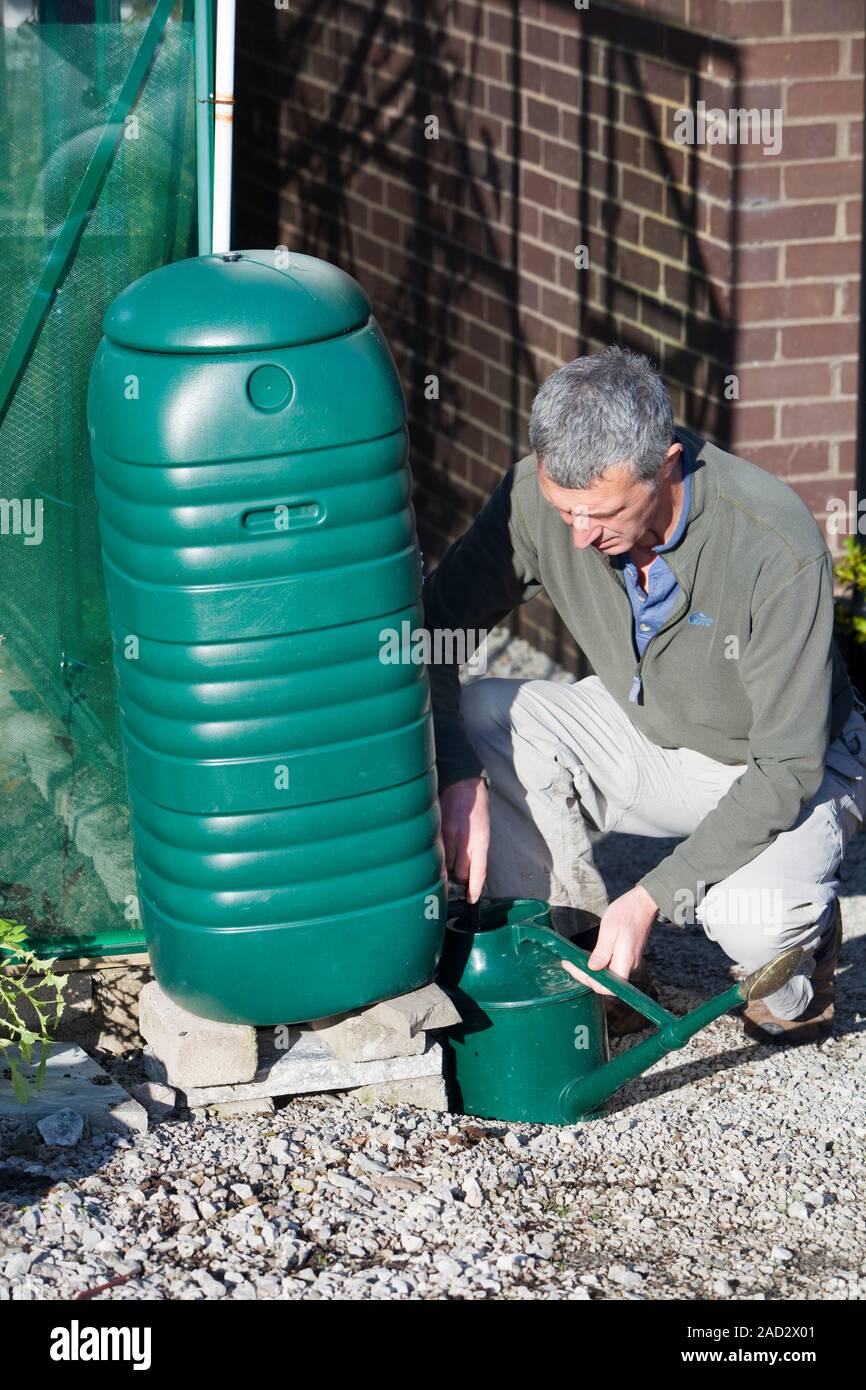 Filling a watering can from a Water butt in a garden in Ambleside ...