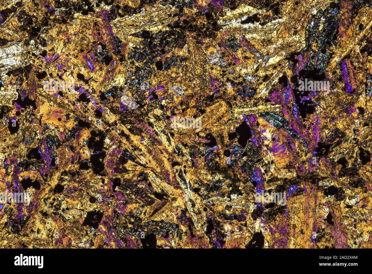 Polarised light micrograph of a thin section of gabbro, an igneous rock. This is a type of ...