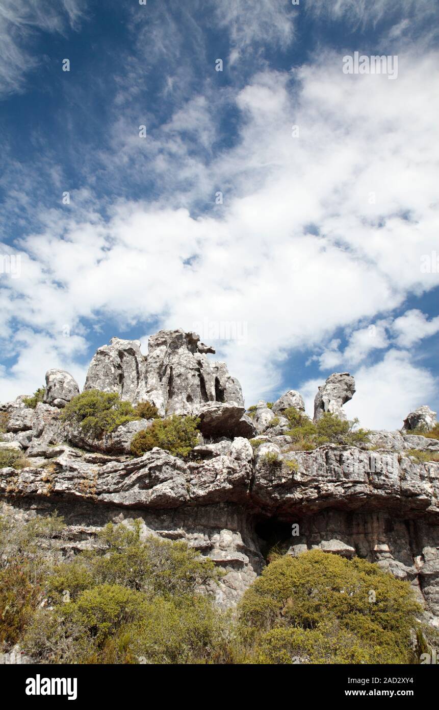 Sandstone crags on top of Table Mountain, Western Cape, South Africa ...