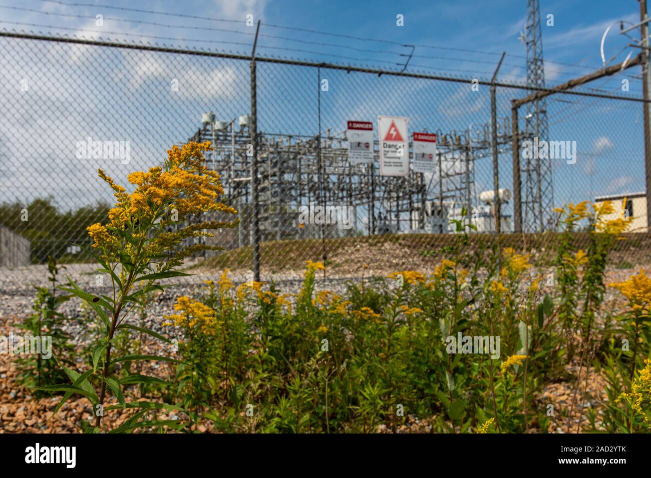 Electrical substation with an exterior electric metal fence in low ...