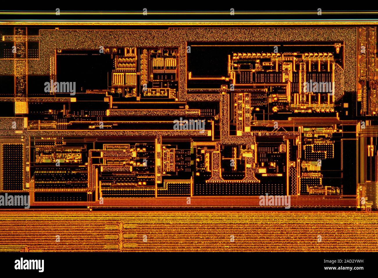 Microprocessor clock driver. Light micrograph of an Intel Pentium ...