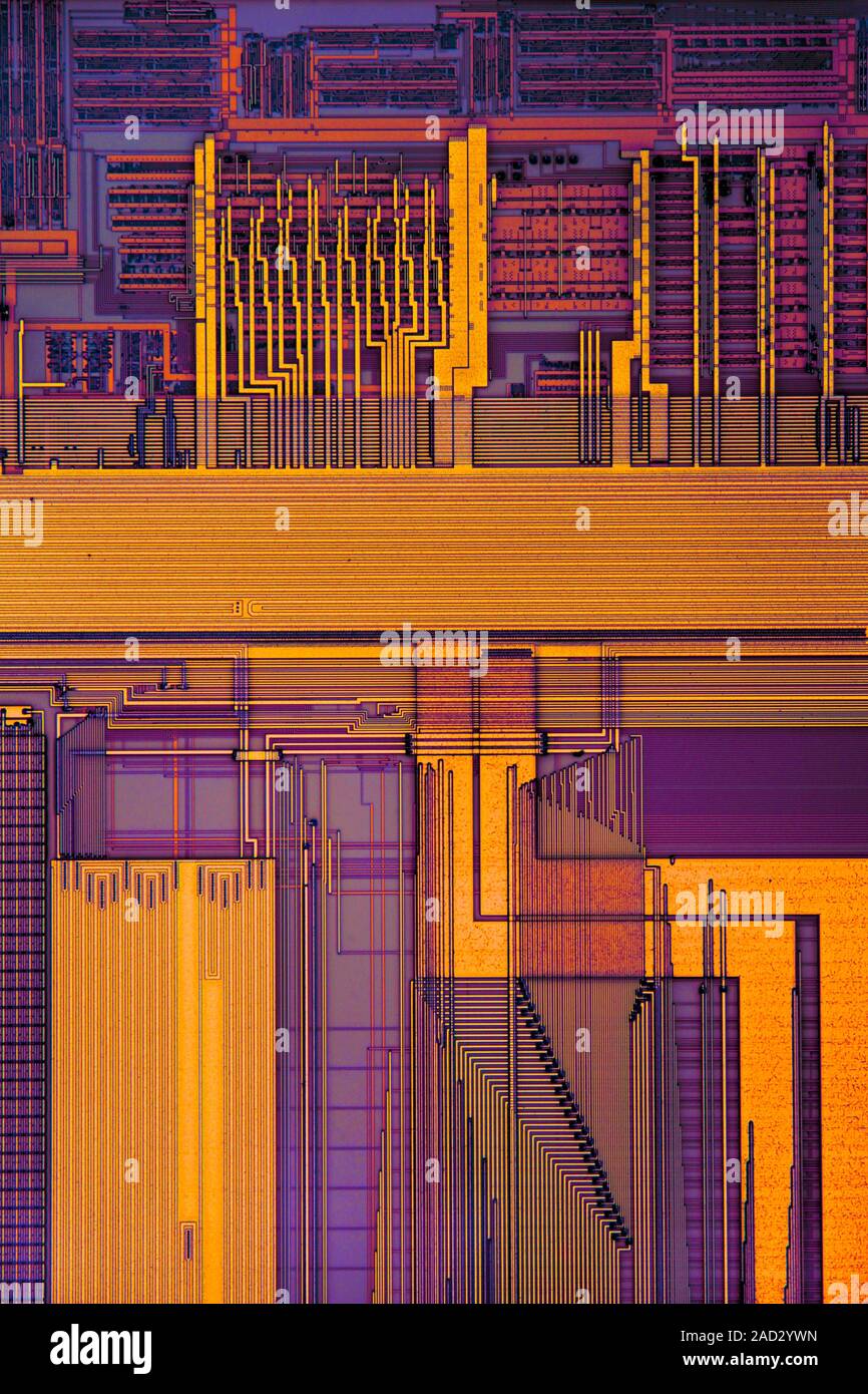 Microprocessor components. Light micrograph of an Intel Pentium ...