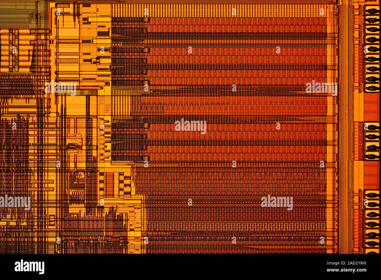 Microprocessor components. Light micrograph of an Intel Pentium ...
