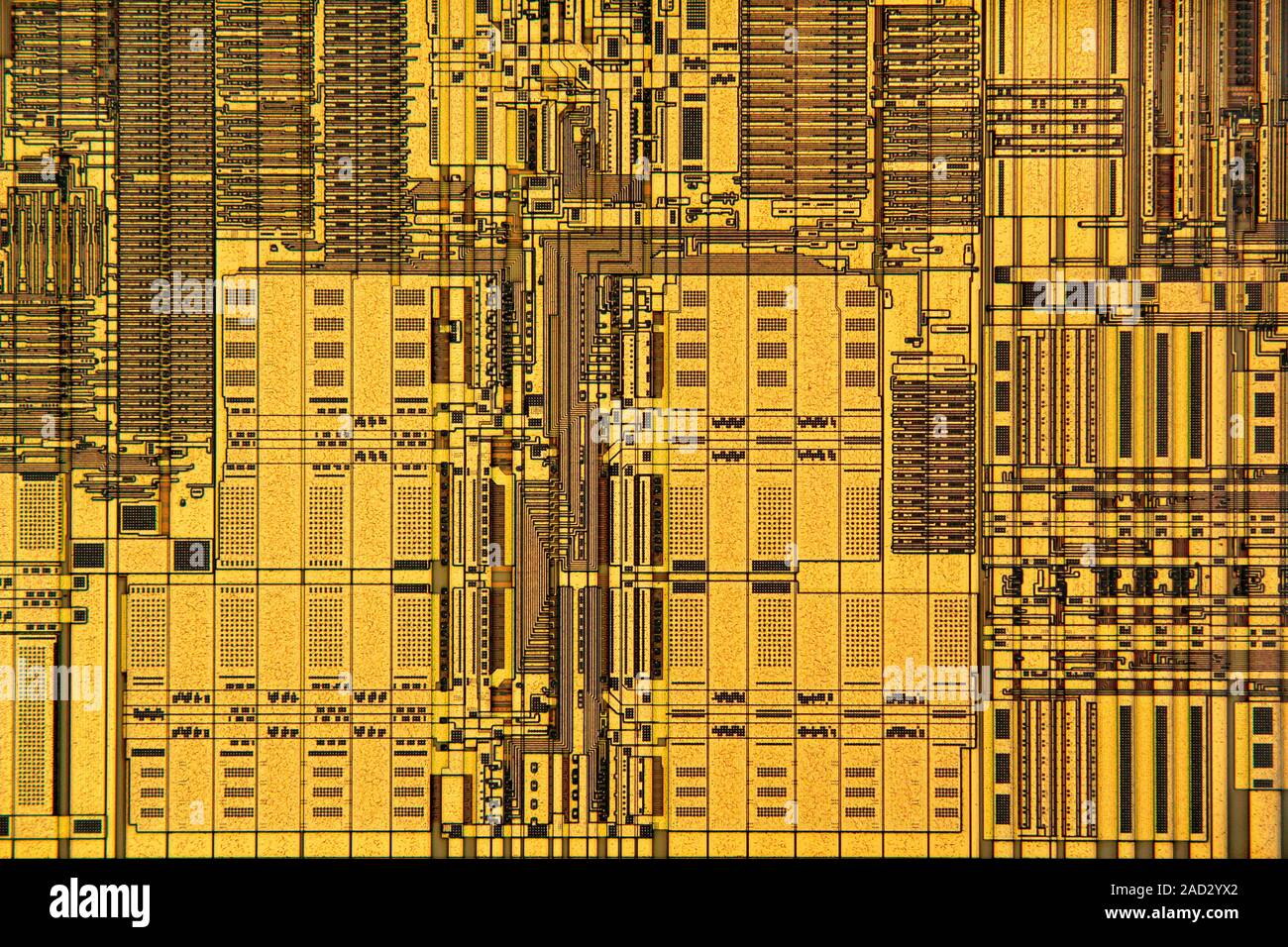 Microprocessor instruction decode unit. Light micrograph of an Intel ...
