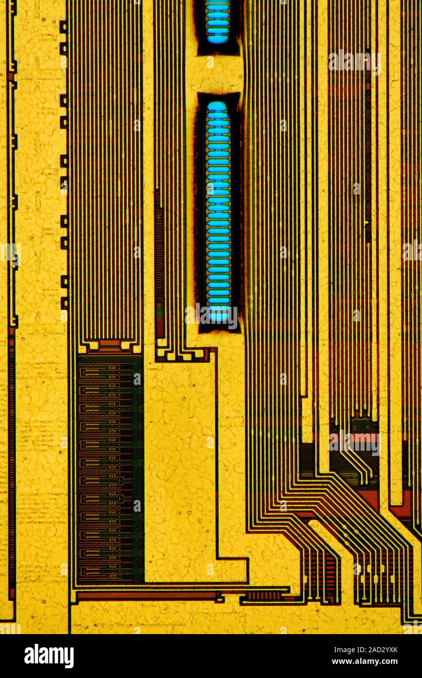 Computer RAM module. Light micrograph of a 128 megabyte PC-100 series ...