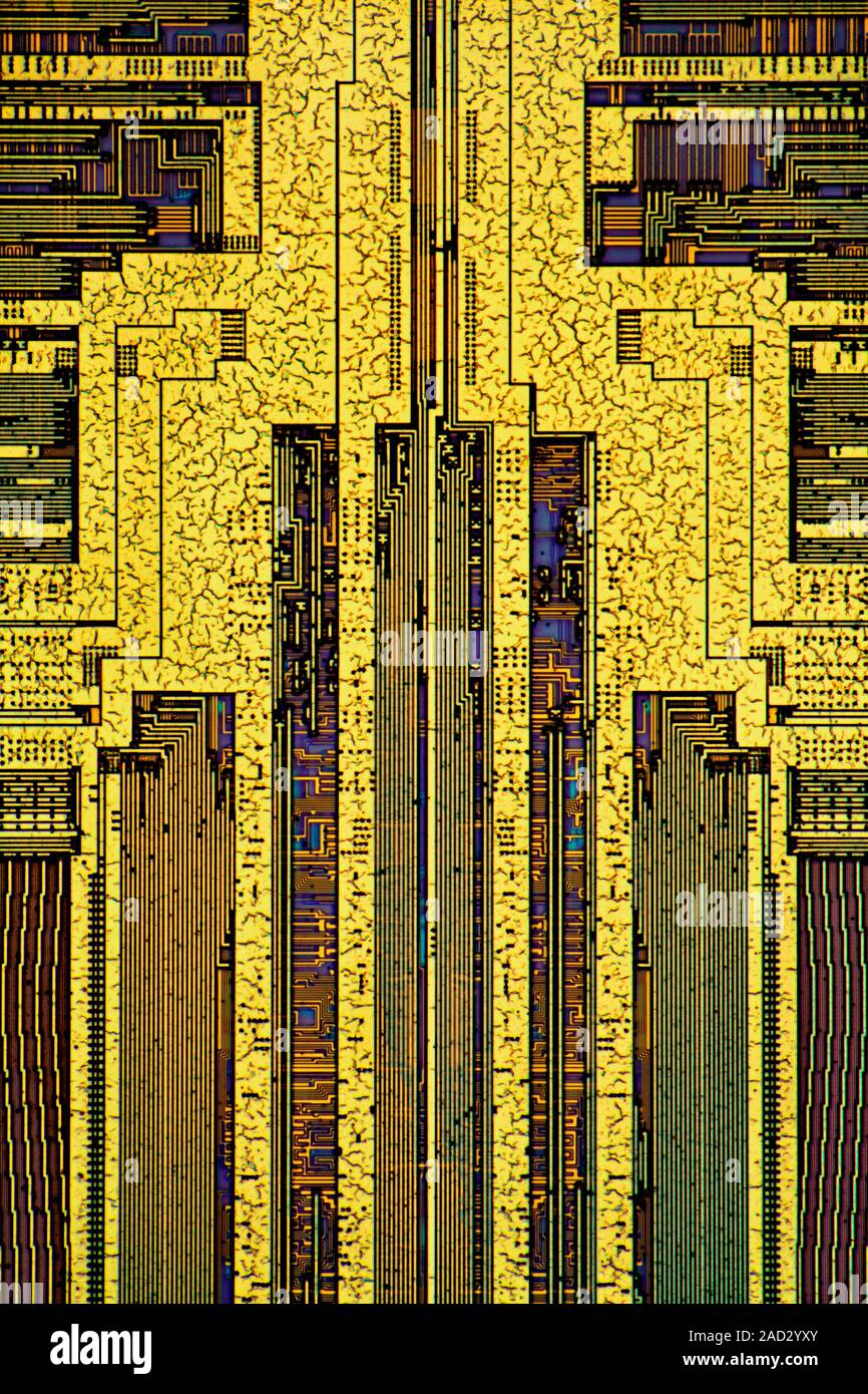 Computer RAM module. Light micrograph of a 64 megabyte extended data ...