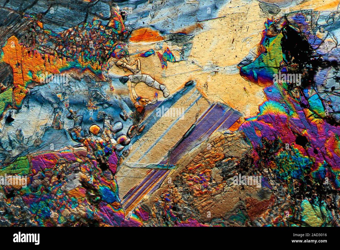 Gabbro microcrystals. Polarised light micrograph of a section through a ...