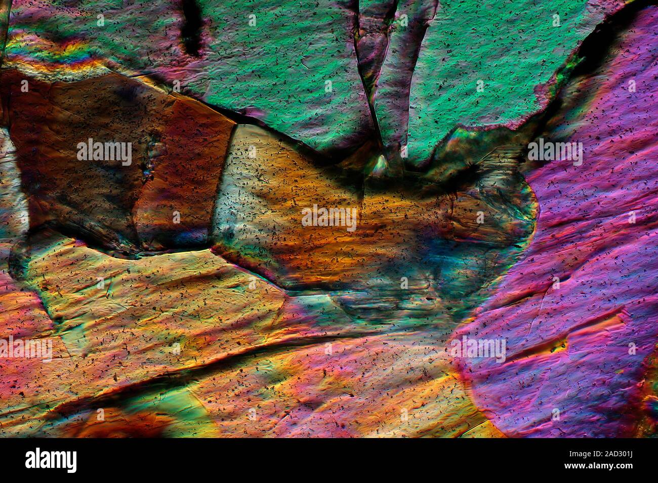 Gabbro microcrystals. Polarised light micrograph of a section through a ...