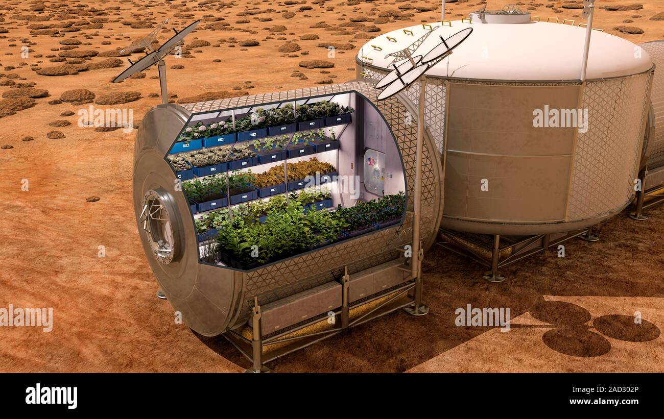 Plant growth chamber on Mars. Computer illustration of a produced ...