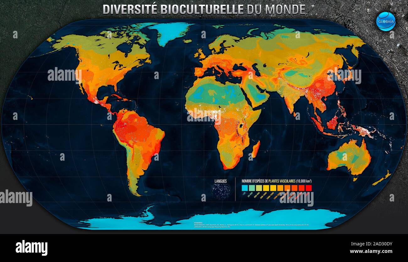 Map showing the distribution of the world's languages (white dots) and ...
