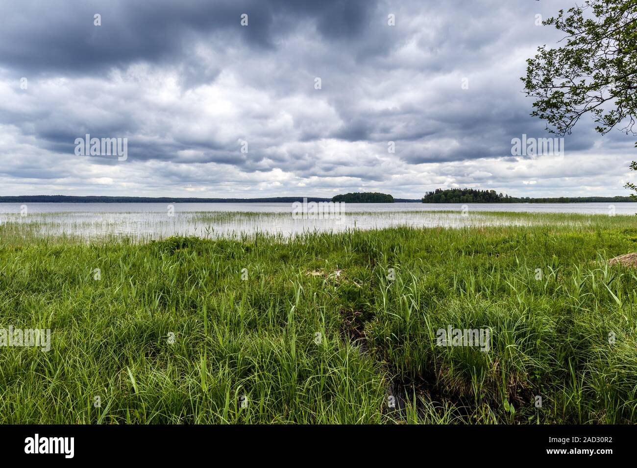 Baltic Countryside High Resolution Stock Photography and Images - Alamy
