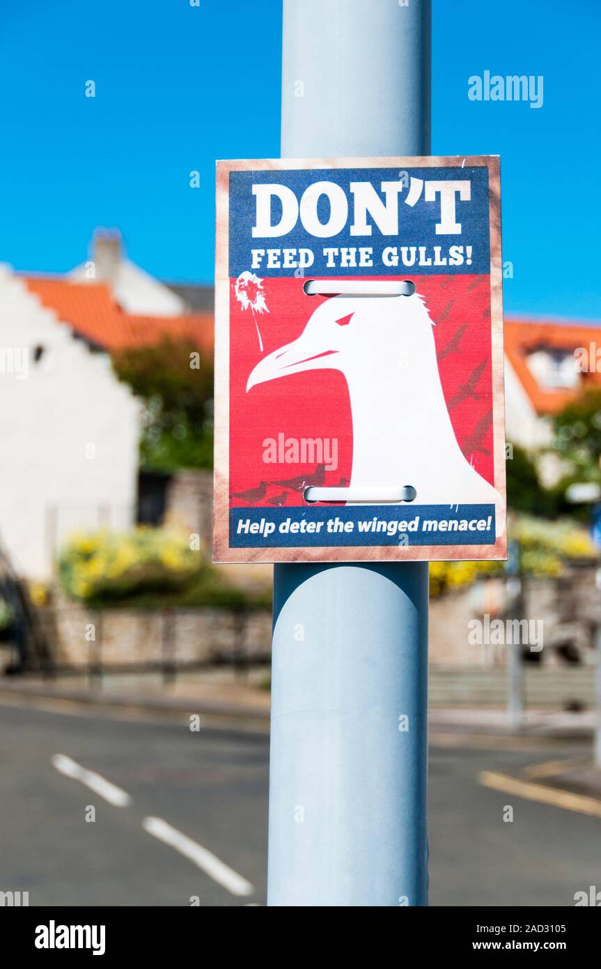 Dont feed the gulls hi-res stock photography and images - Alamy
