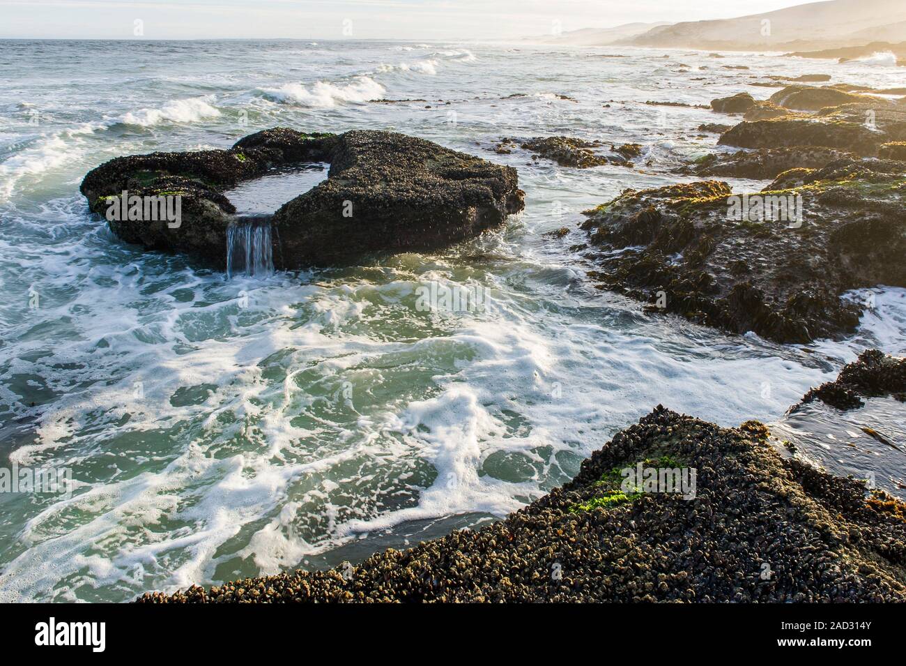 Intertidal zone impacted upon by wave action. Photographed in De Hoop ...