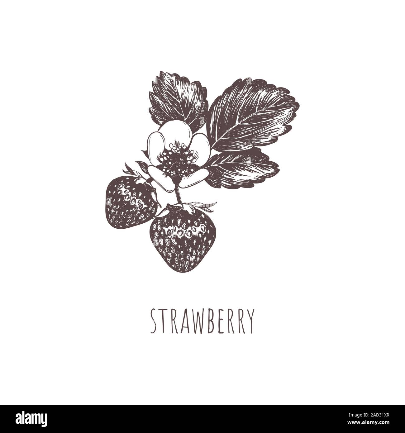 Jam card Cut Out Stock Images & Pictures - Alamy