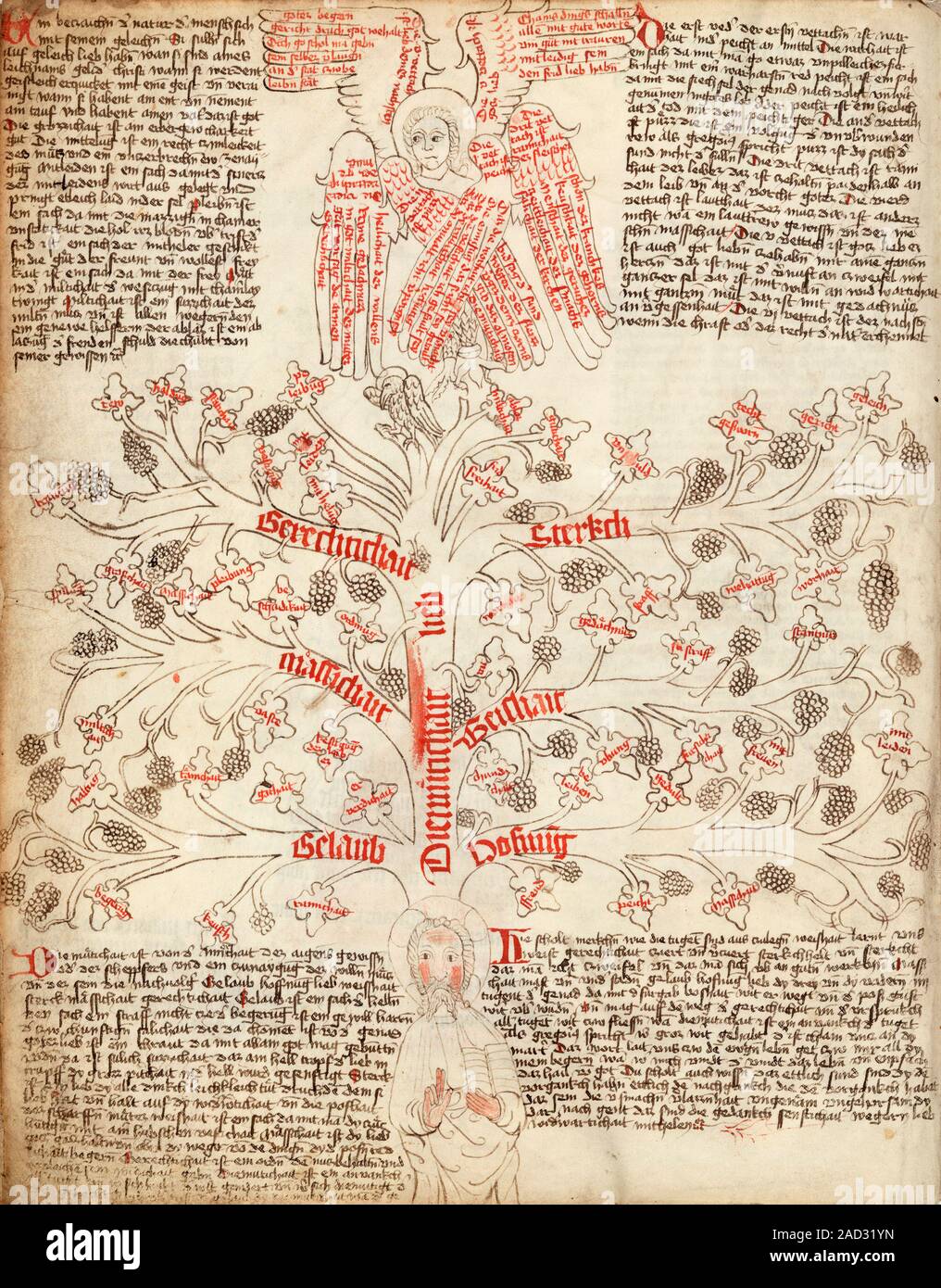 Tree of life allegory. 15th-century illustrated manuscript on medical ...