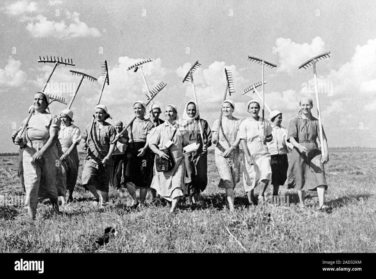 Collective farm, Moscow, USSR, 1940s. Group of women farmers at the ...