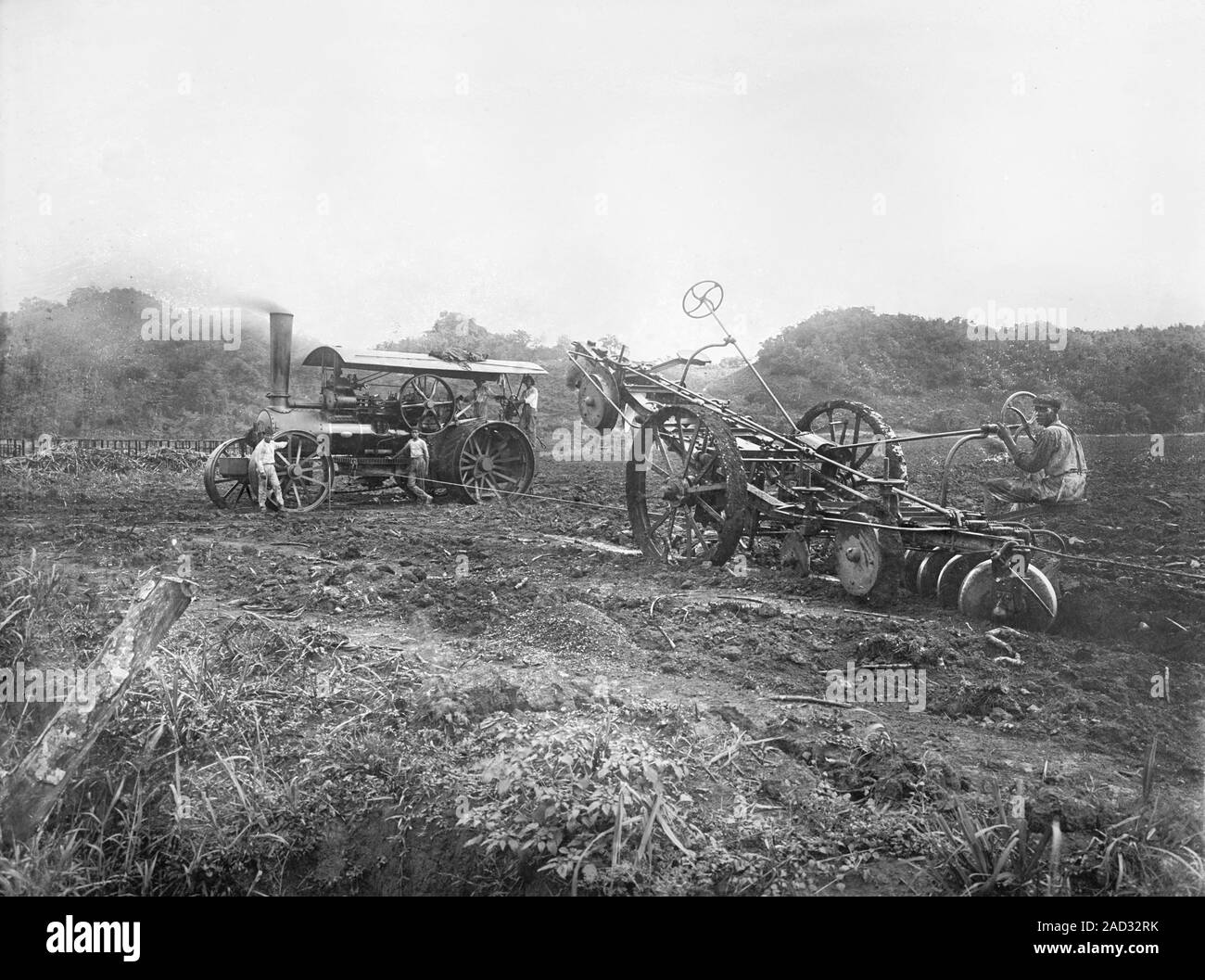 Steam ploughing machine, 1910s. Farmers on a hacienda (estate) in ...