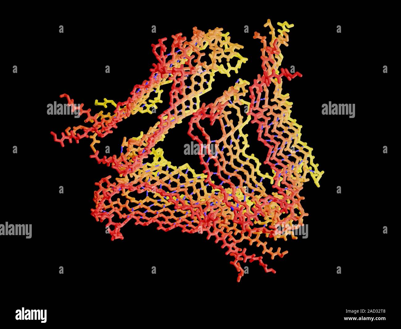 Molecular model of human brain-derived beta-amyloid fibrils isolated ...