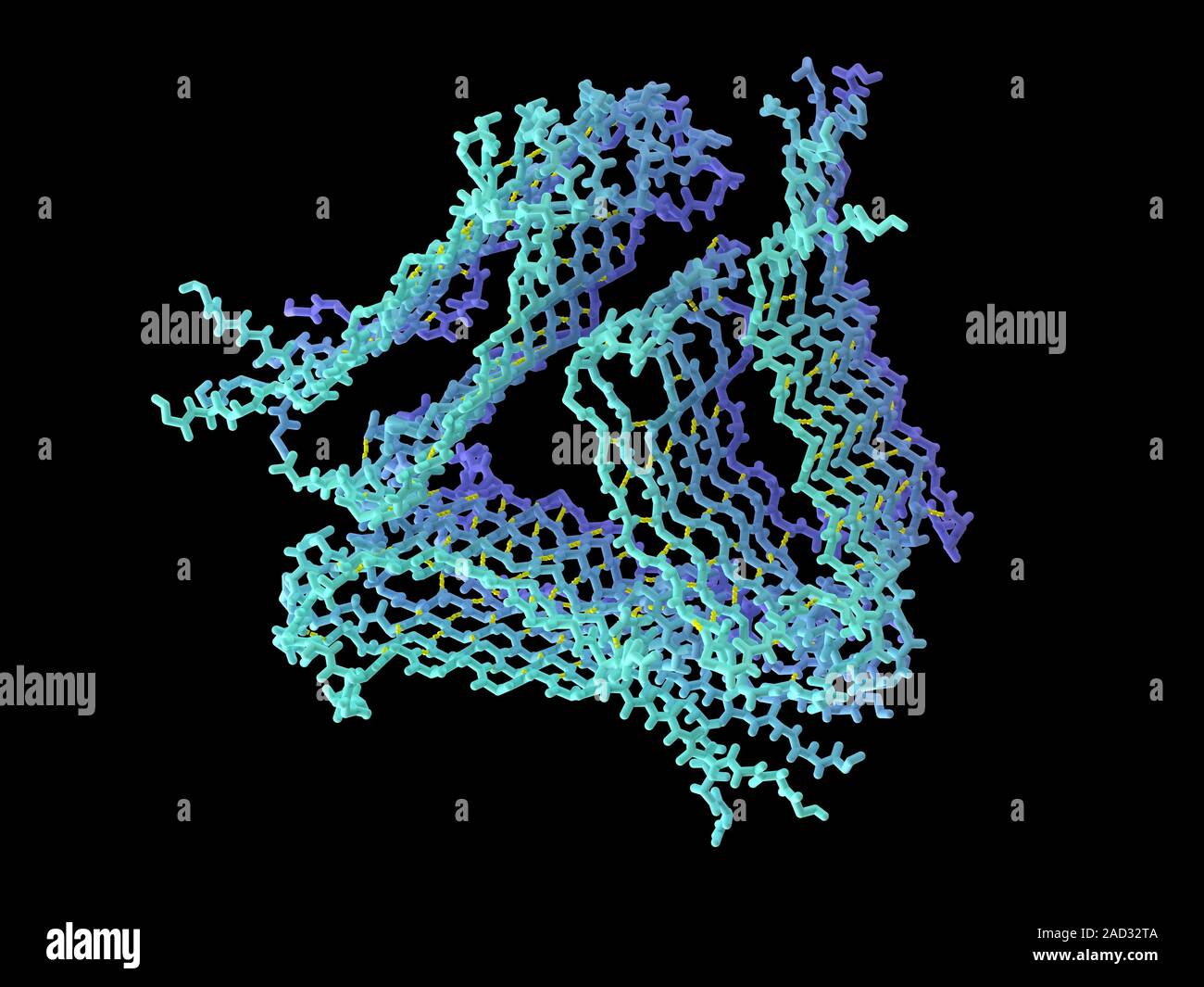 Molecular model of human brain-derived beta-amyloid fibrils isolated ...