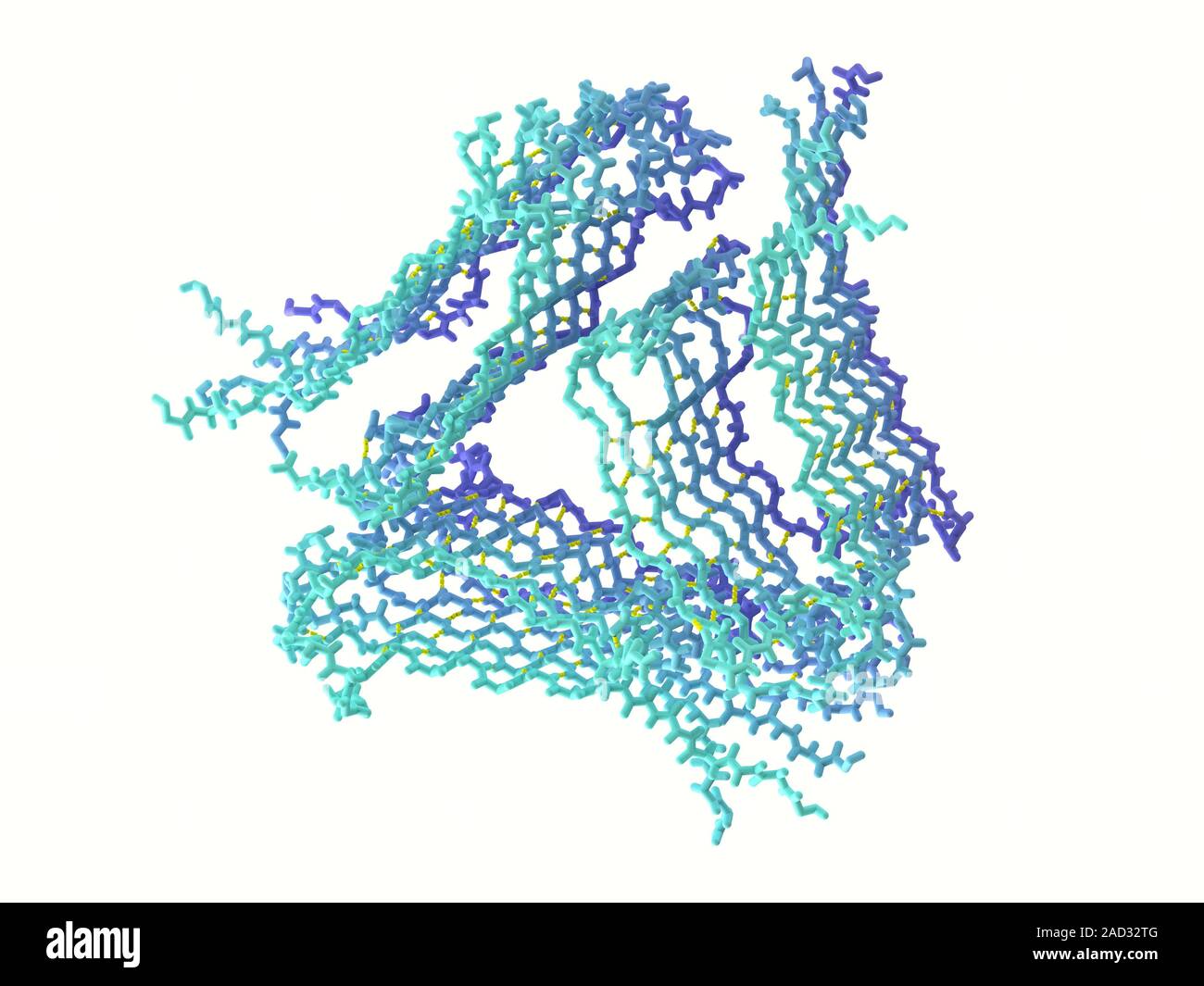 Molecular model of human brain-derived beta-amyloid fibrils isolated ...