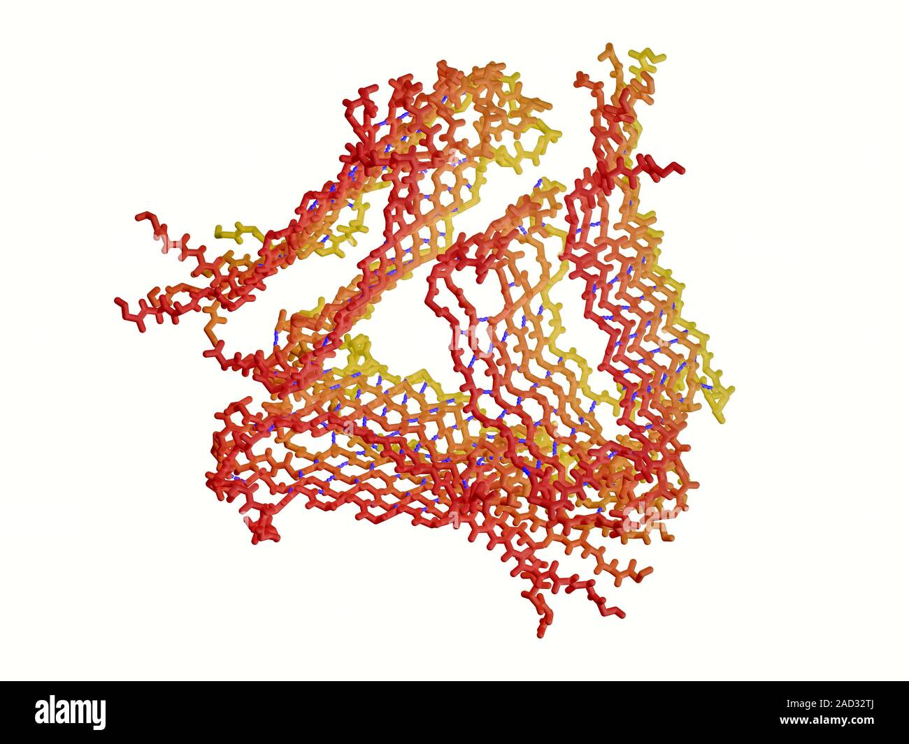 Molecular model of human brain-derived beta-amyloid fibrils isolated ...