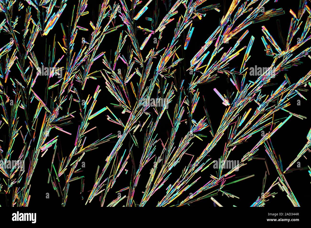 Sodium oxalate crystals. Cross-polarised light micrograph of grown ...