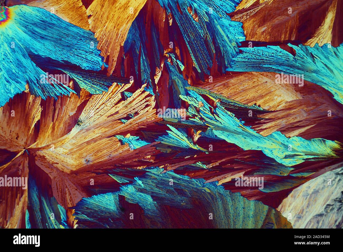 Xylose crystals. Cross-polarised light micrograph of grown crystals of ...