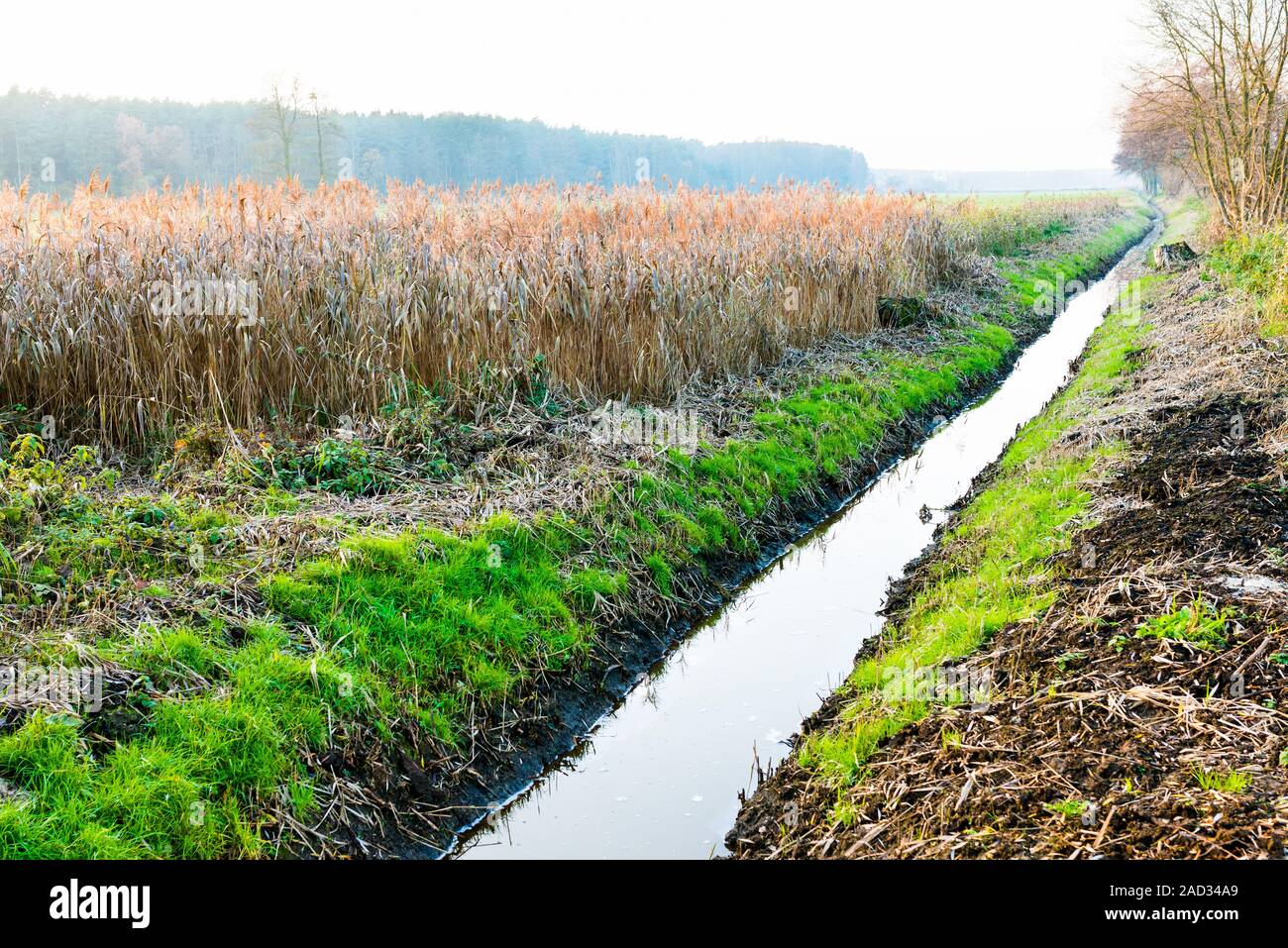 drainage ditch in autumn scenery Stock Photo - Alamy