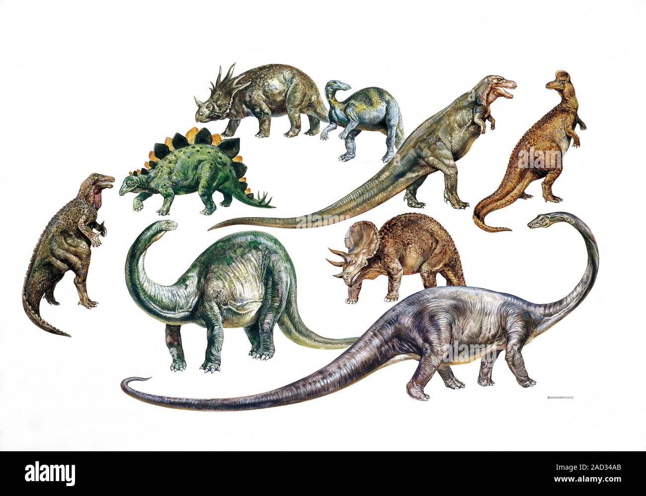 Dinosaurs. Computer illustration of various prehistoric reptiles ...
