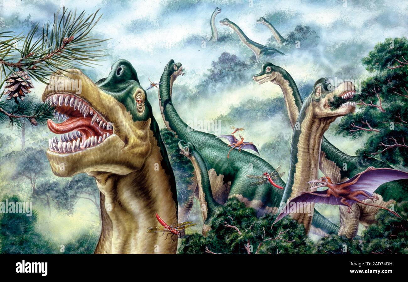 Supersaurus dinosaurs. Computer illustration of a group of Supersaurus ...