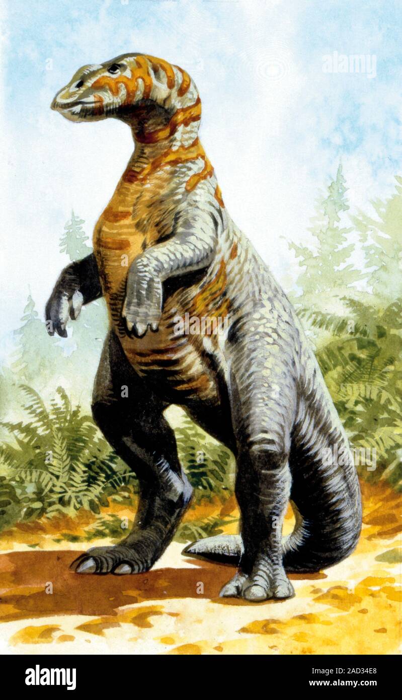 Kritosaurus dinosaur. Computer illustration of a Kritosaurus sp ...