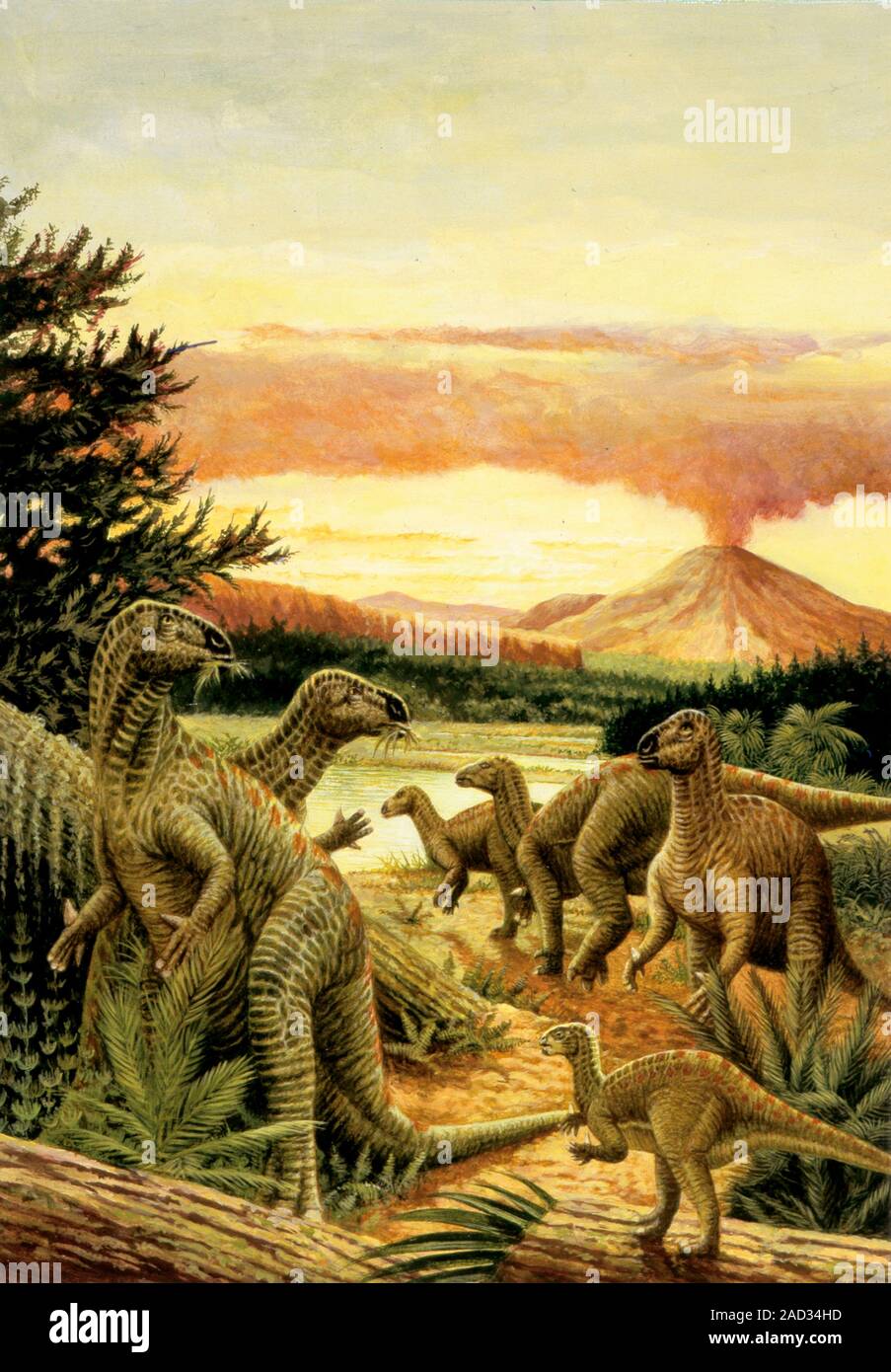 Iguanodon dinosaurs. Computer illustration of a herd of Iguanodon sp ...