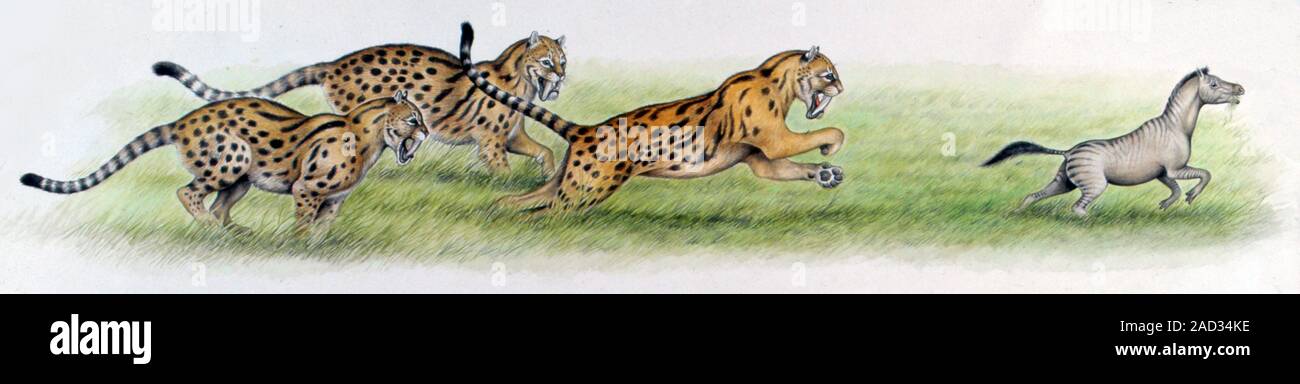 Eusmilus hunting Palaeotherium. Computer illustration of a pack of ...