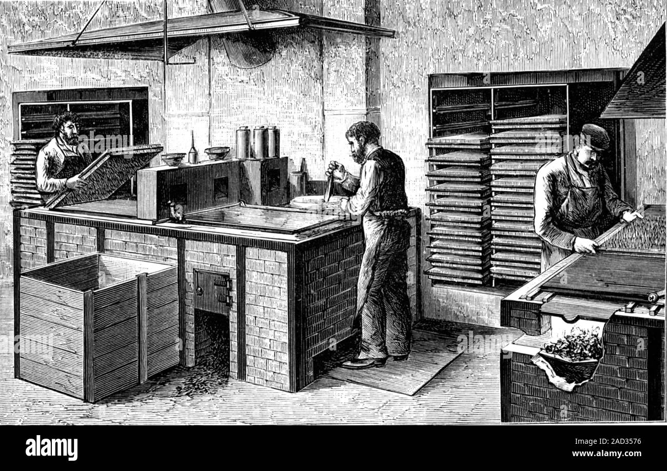 19th Century match factory. 1889 illustration of men working in a match ...