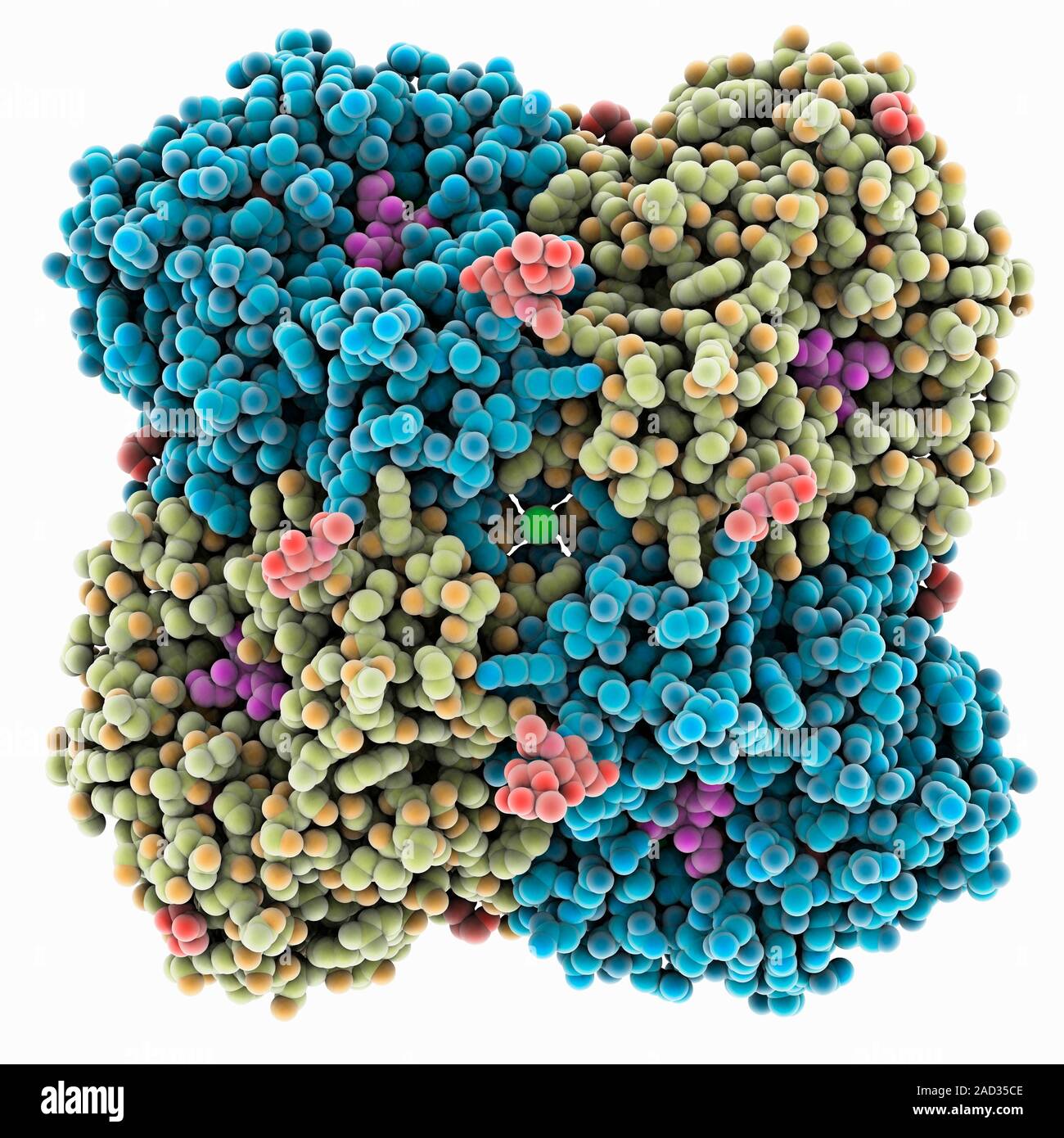 Influenza enzyme and zanamivir drug. Molecular model of the ...